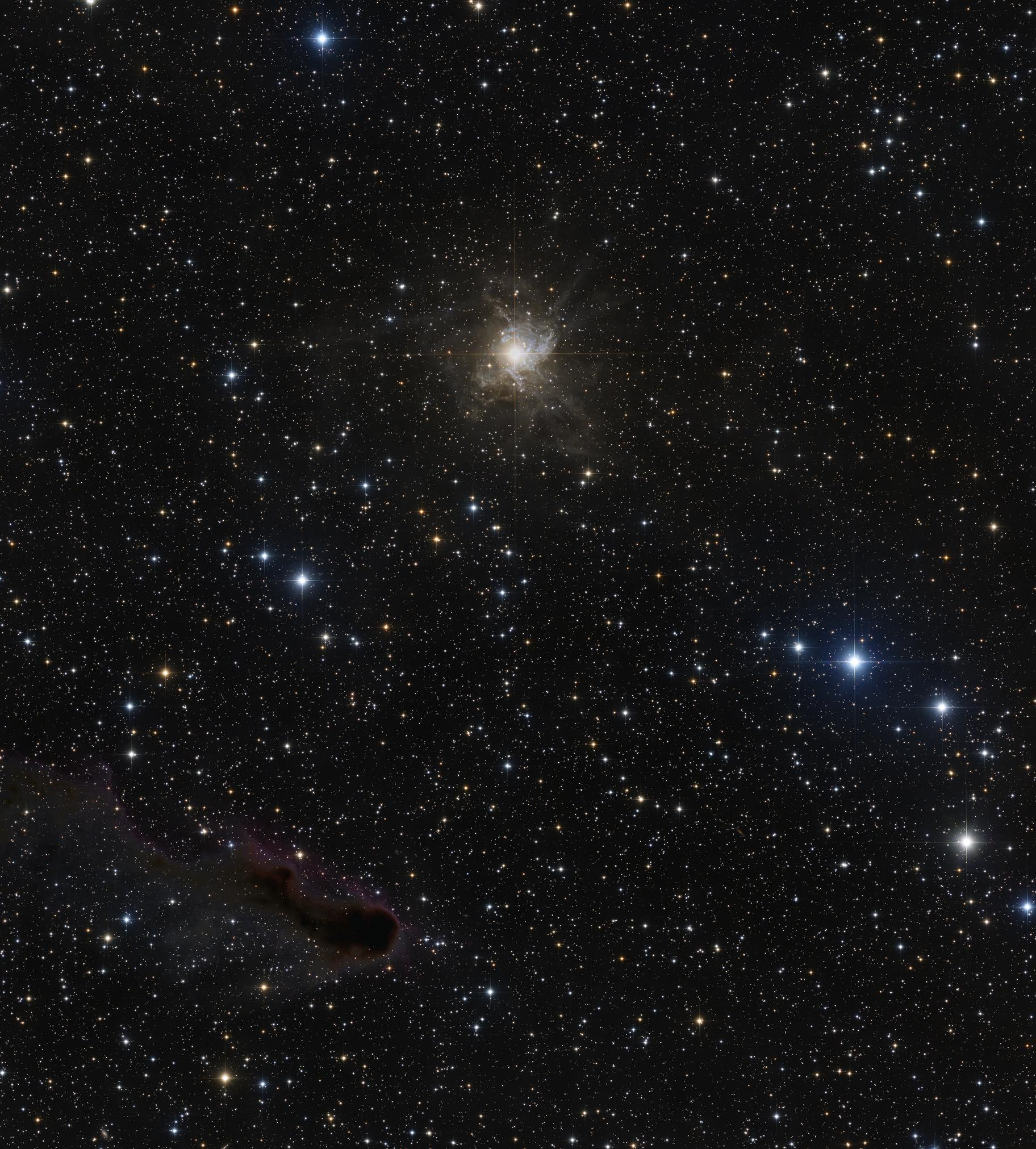 Una orquídea – ASTROdatos. Lo que nos cuentan las estrellas